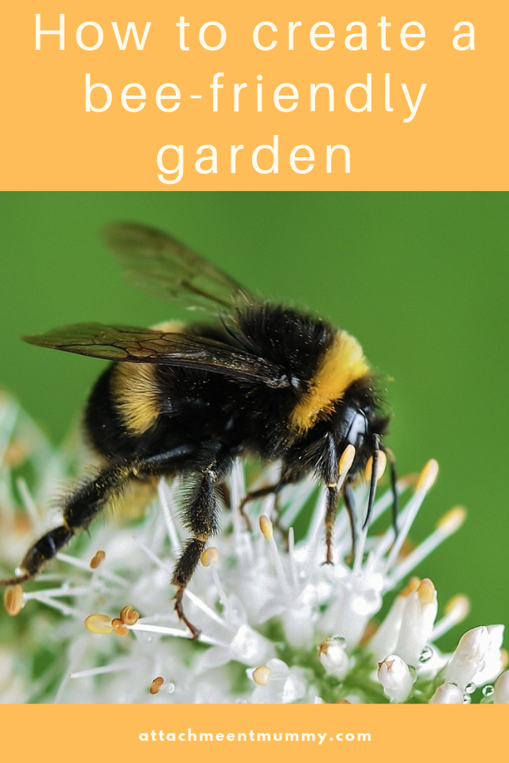 How to Create a Bee-Friendly Garden