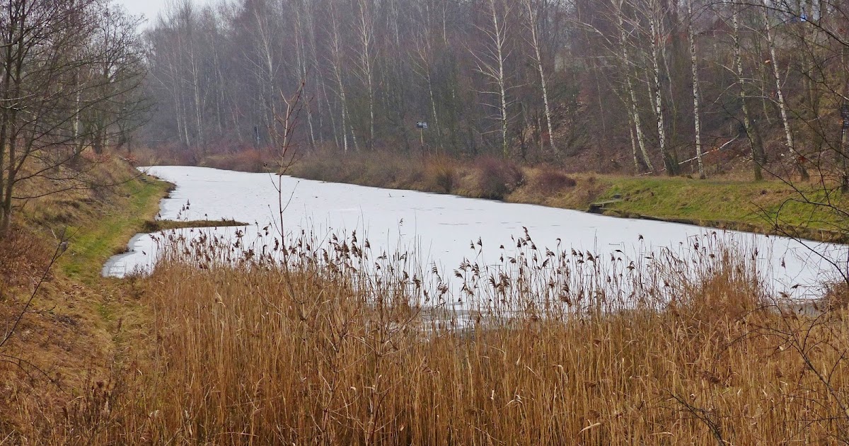 szlaki i bezdroża: Bytom Karb - staw Malek (Maleka)
