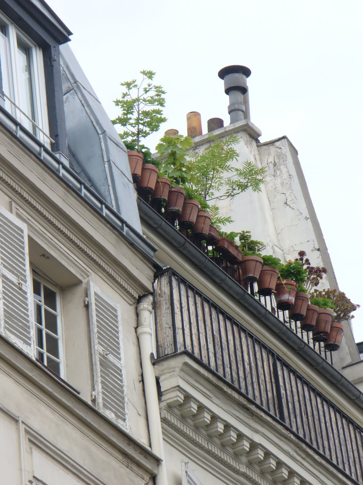 Les balcons de Paris: Des balcons de tous les types