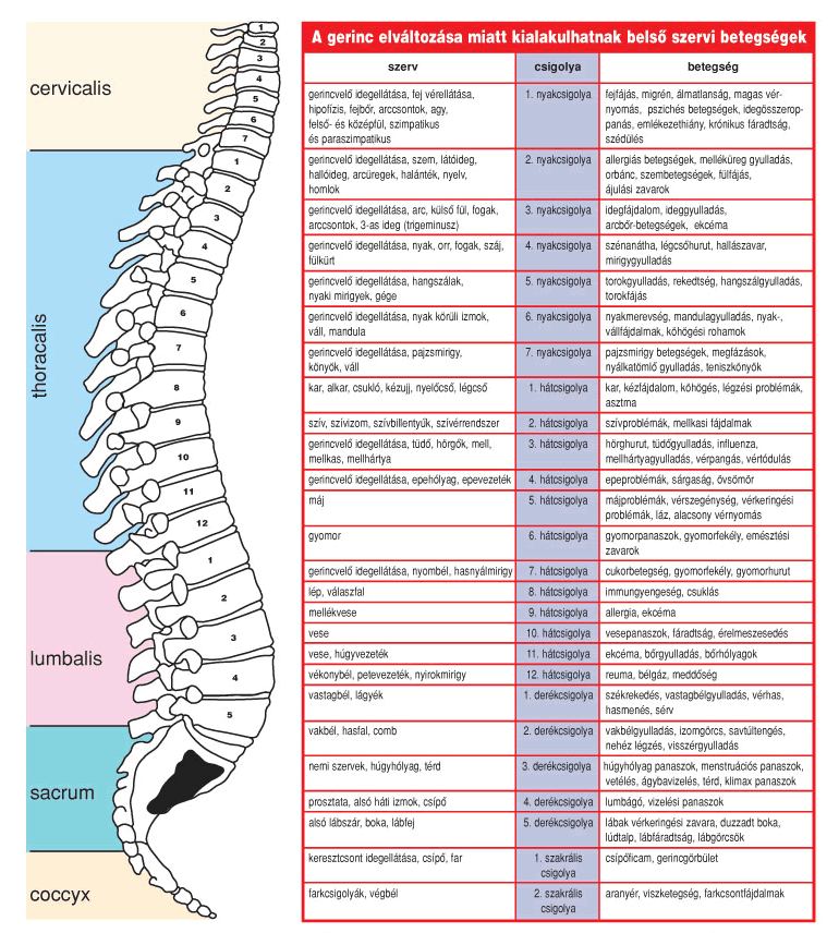 Gerinc Térkép | Térkép