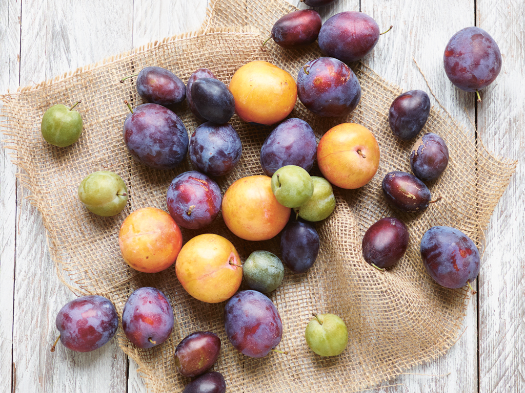 Hufrehe-Blog: Erdbeerzeit - denn auch Pferde naschen gern leckeres Obst