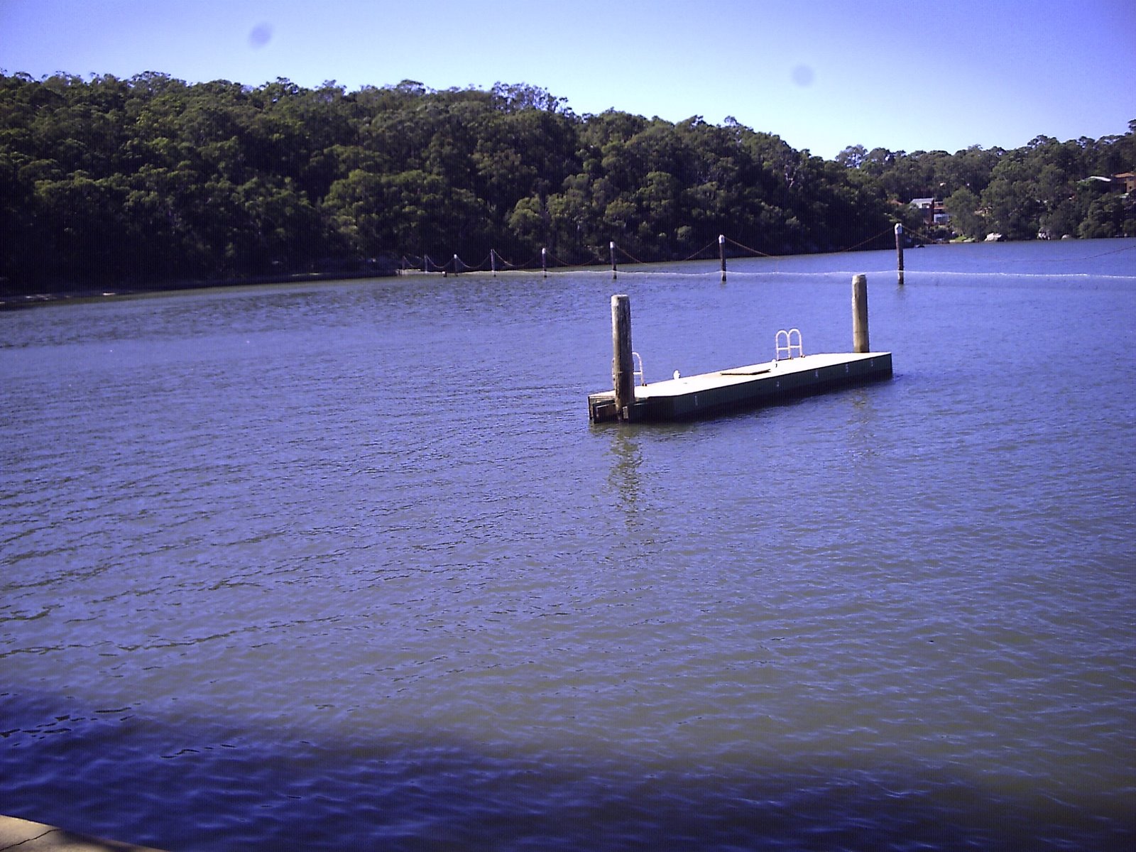 Lazy Swimmer: The Long Swim