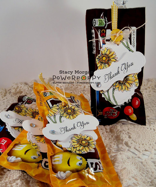 Twinshappy: Thank you goodies