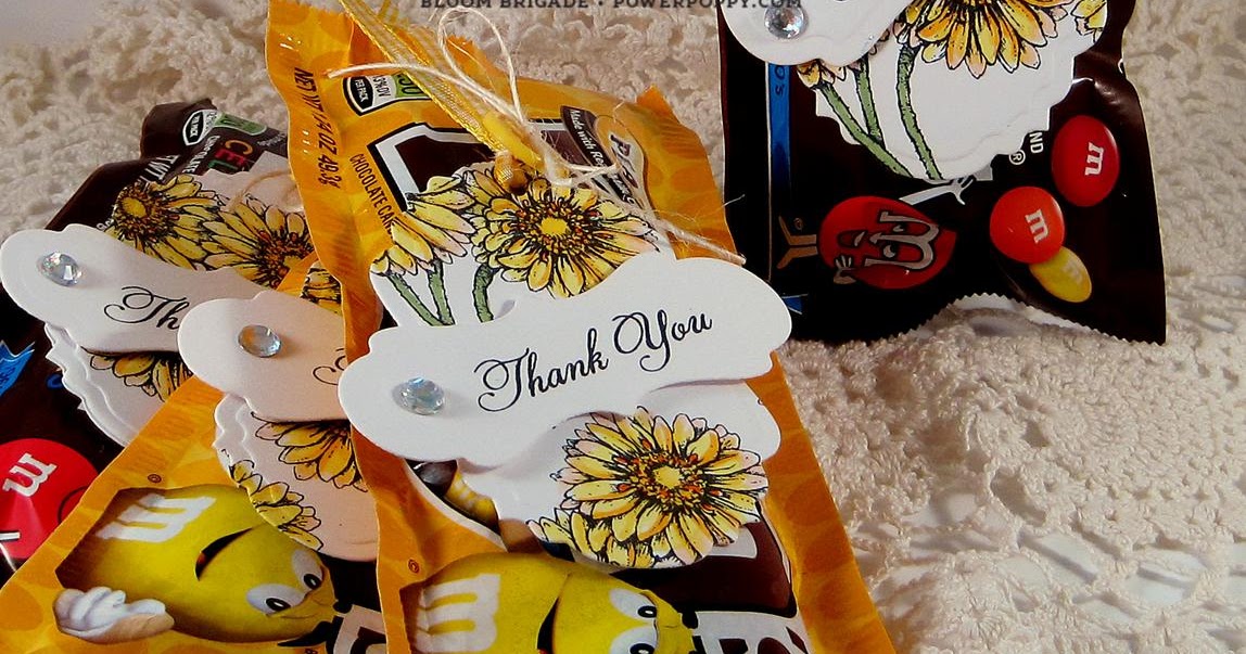 Twinshappy: Thank you goodies