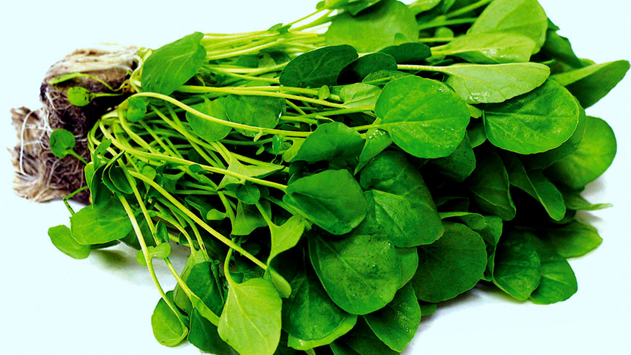 Berros/Watercress