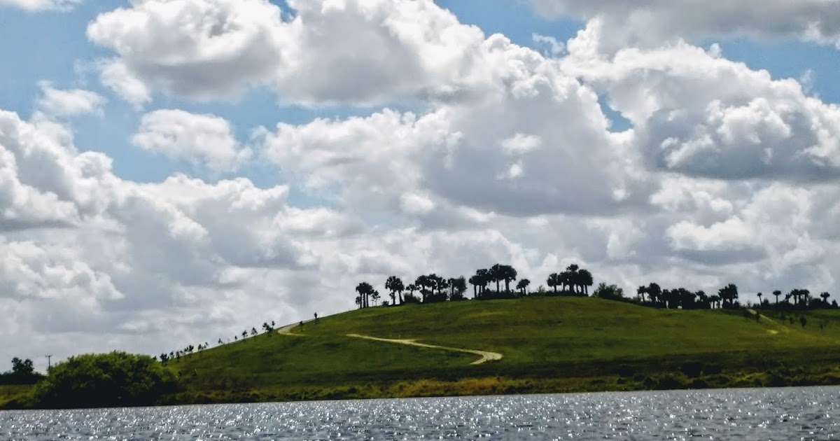 Some of those who protected the Celery Fields