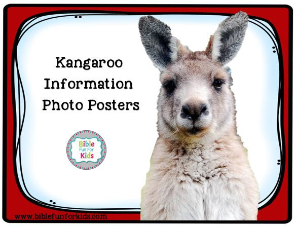 God Makes the Animals: Kangaroos | Bible Fun For Kids