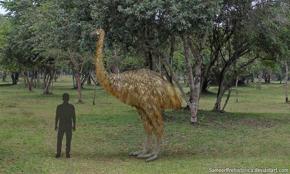 Welcome to Real Fake Birds!: Bird of the Week!