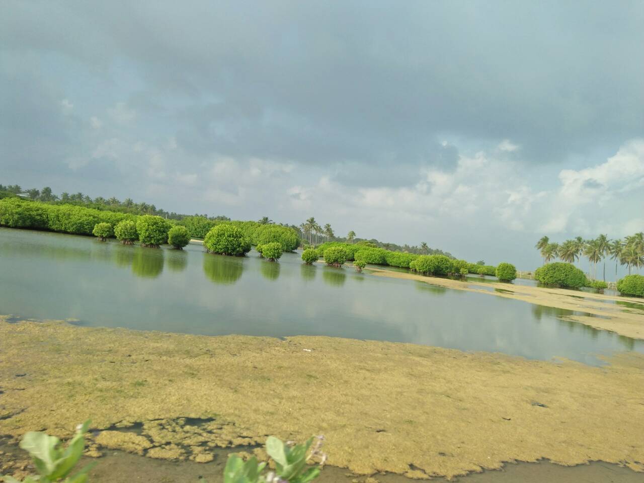 Kalpitiya - Wonder in the West Coast