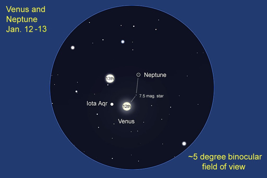 Ángeles Amor: VENUS EN PISCIS – de Marzo 12 a Abril 5 Por Cristina Laird