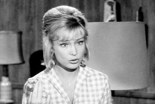 Killer Baloney : 60's Television Greatness...BURKE'S LAW