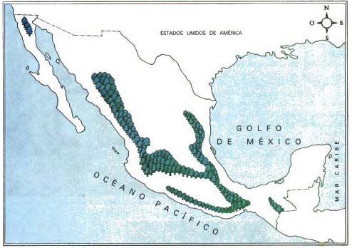 Regiones Naturales de México: Mapa