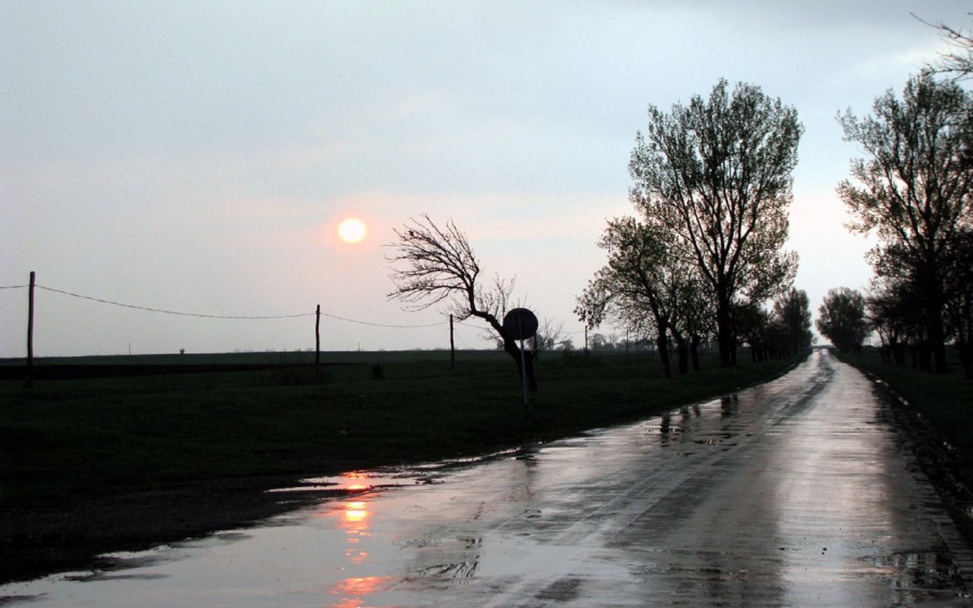 Top Ide Walpaper Hujan, Inspirasi Terkini!