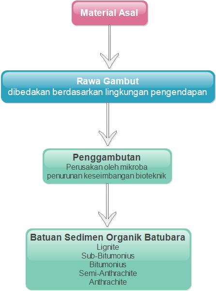 KimintekHijau.com: Proses Pembentukan Batu Bara