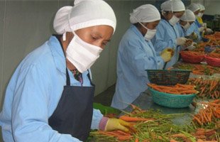 FOOD SAFETY: Uniform for food personnel