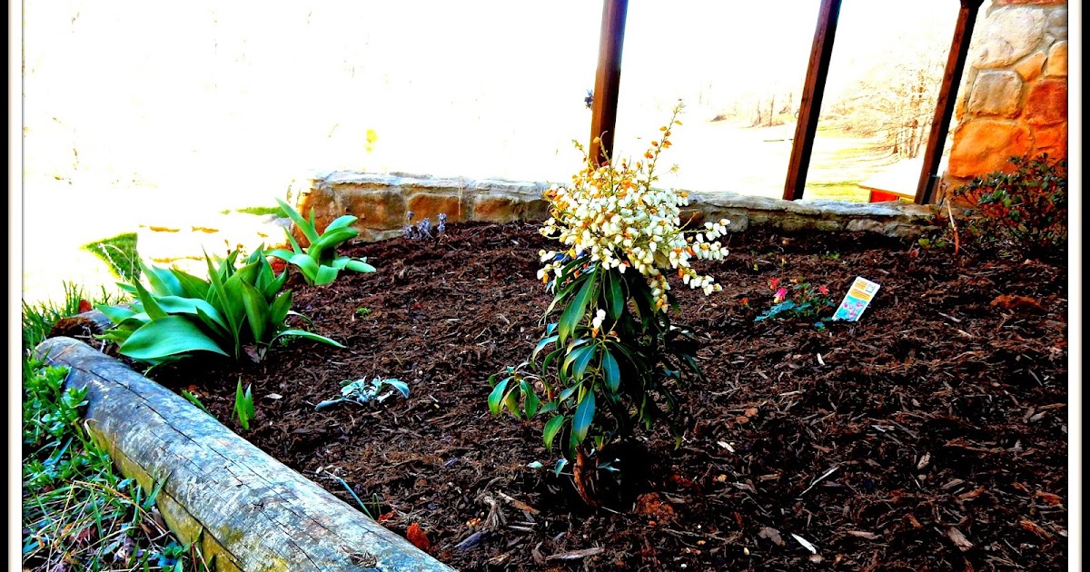 Two Bears Farm and the Three Cubs: Fake Poop and Binary Code