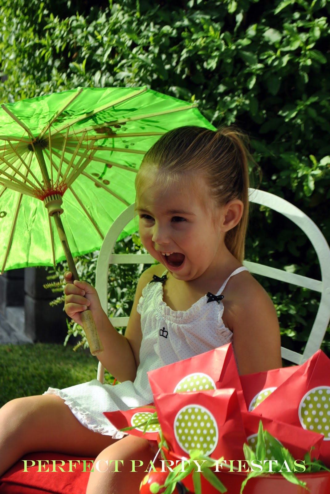 Perfect Party: Fiesta temática del Sapo Pepe - Garden Party