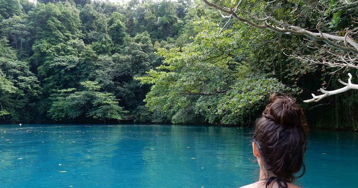 Dicas para conhecer a Lagoa Azul na Jamaica! - Renata Viaja...