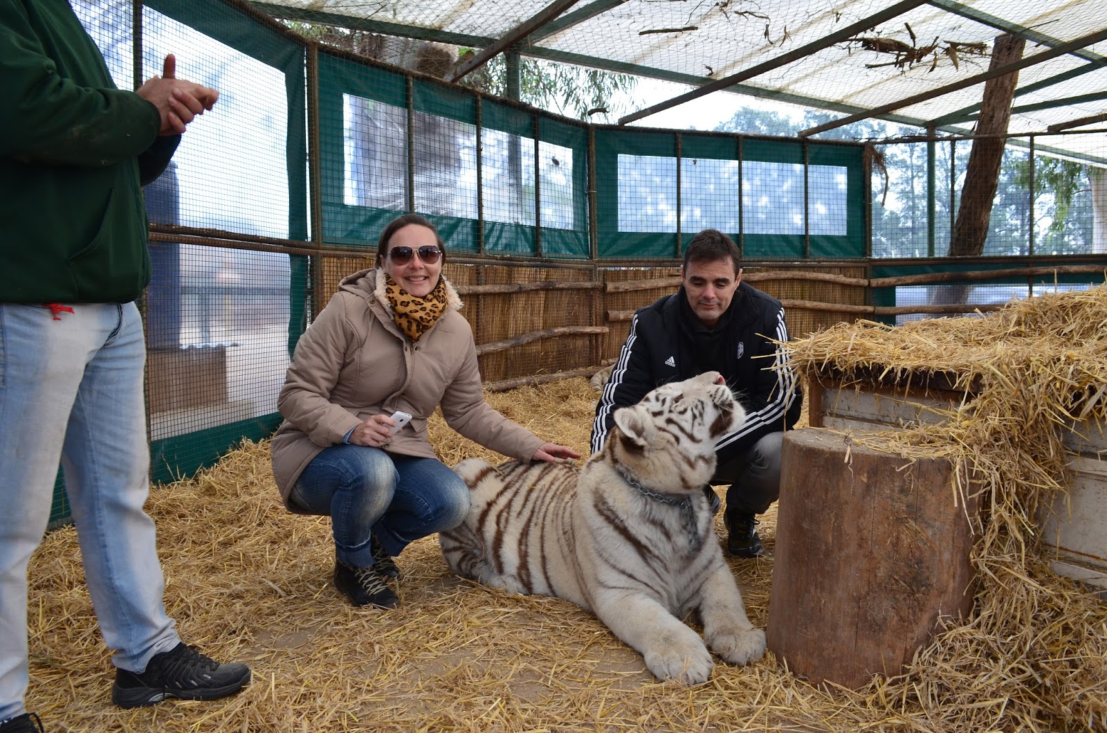 Pelos Aires: Lujan, Temaikén e Zoo de BAires: a vida selvagem na Argentina