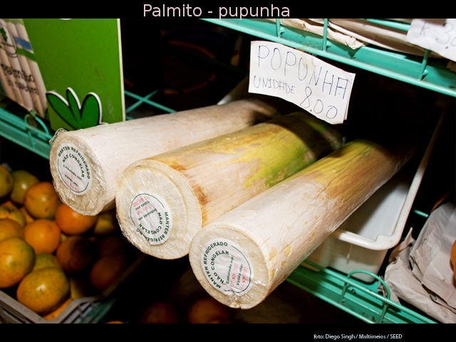 Divino Sabor - Personal Chef, Receitas, Ervas, Temperos, Dicas, Boa ...