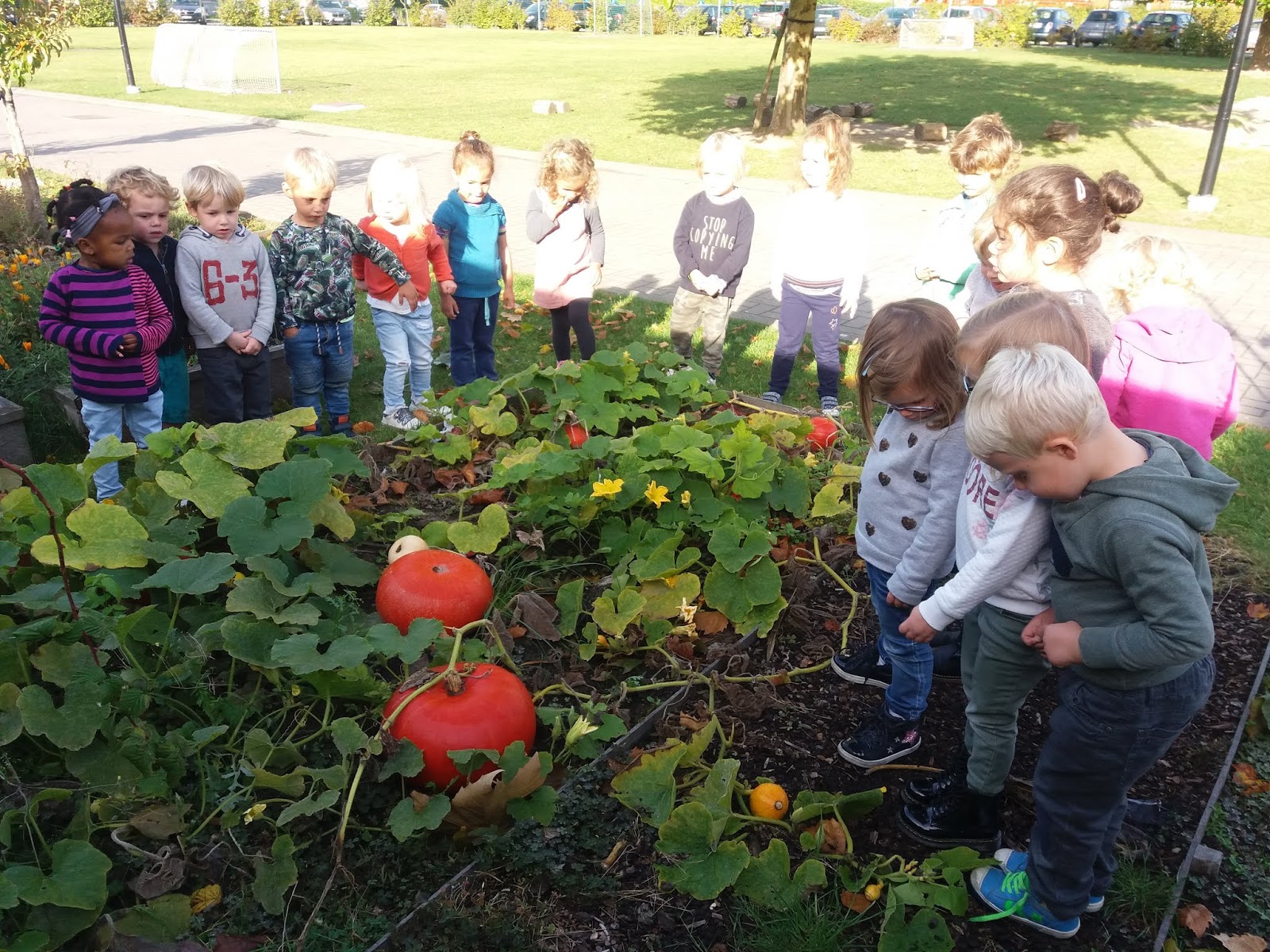 Peuterklas B / 1e kleuterklas B - juf Karolien / juf Amber en juf Jelte ...