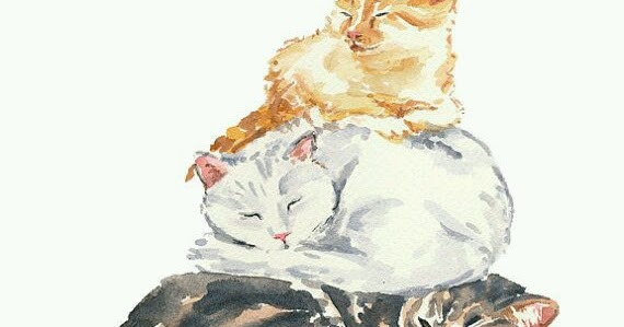 Tingkah si Meong: Anak-anak Kucing Belang Tiga