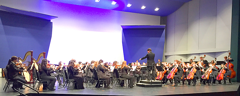 The Elgin Review: Elgin Youth Symphony Orchestra: Keeping Art Music ...