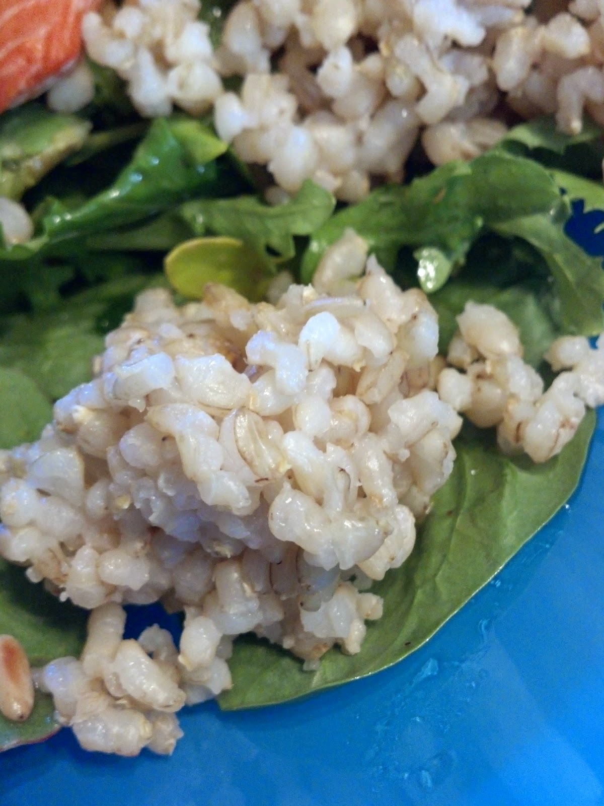 Real Food, Real Pho: Rice, Rice, Baby! Sprouted brown rice
