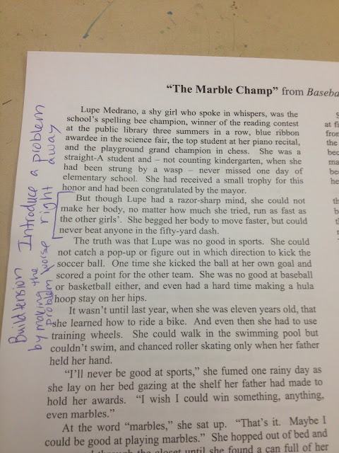 Fourth Grade Adventurers: The Marble Champ