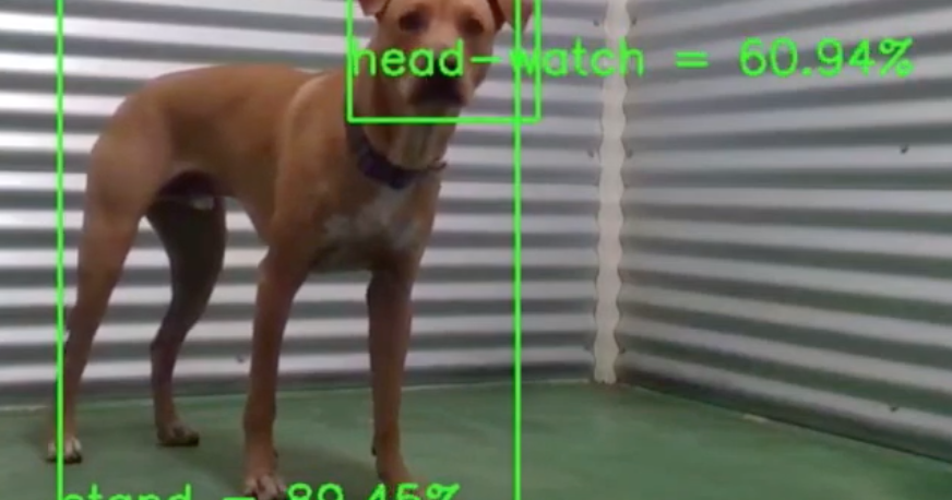 Autonomous Dog Training with Companion — The TensorFlow Blog
