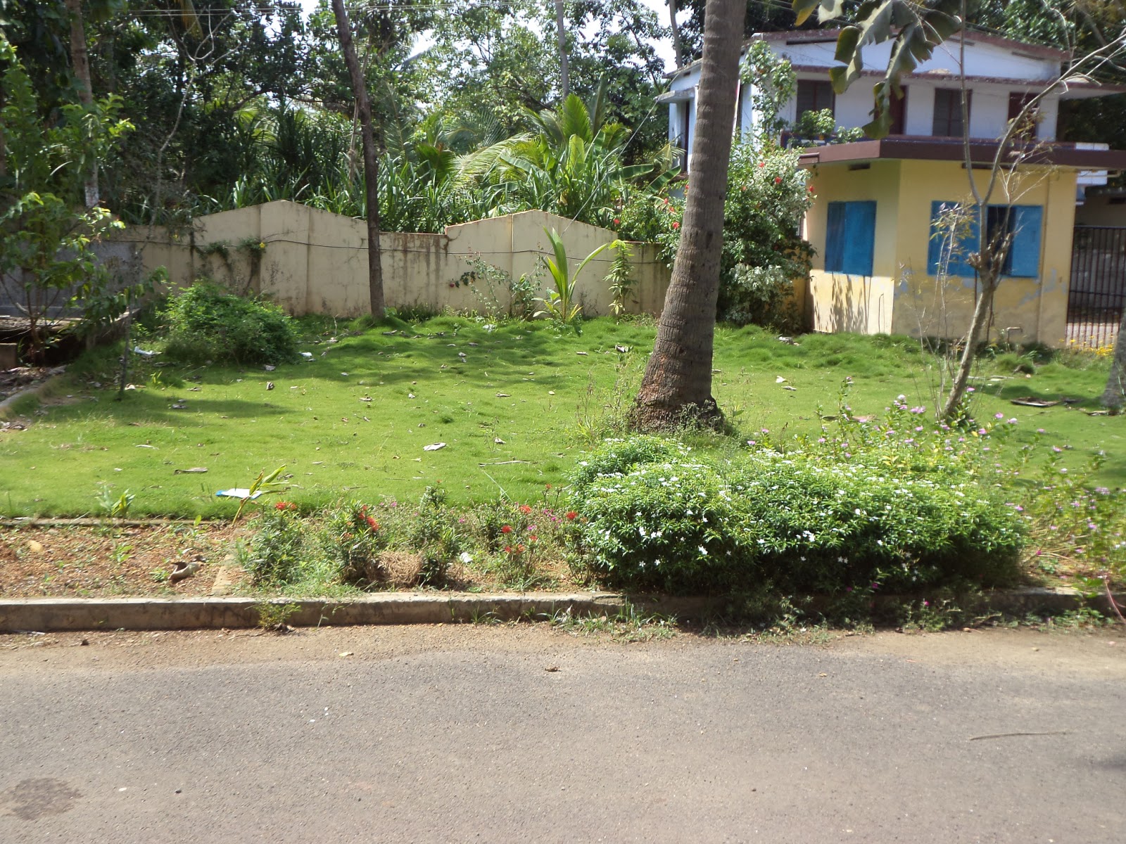 ST:XAVIER'S COLLEGE KOTHAVARA. PHOTO BLOG