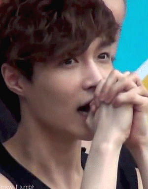 Voshow's Blogger: K-pop Big Trend EXO part 13 (about Lay)