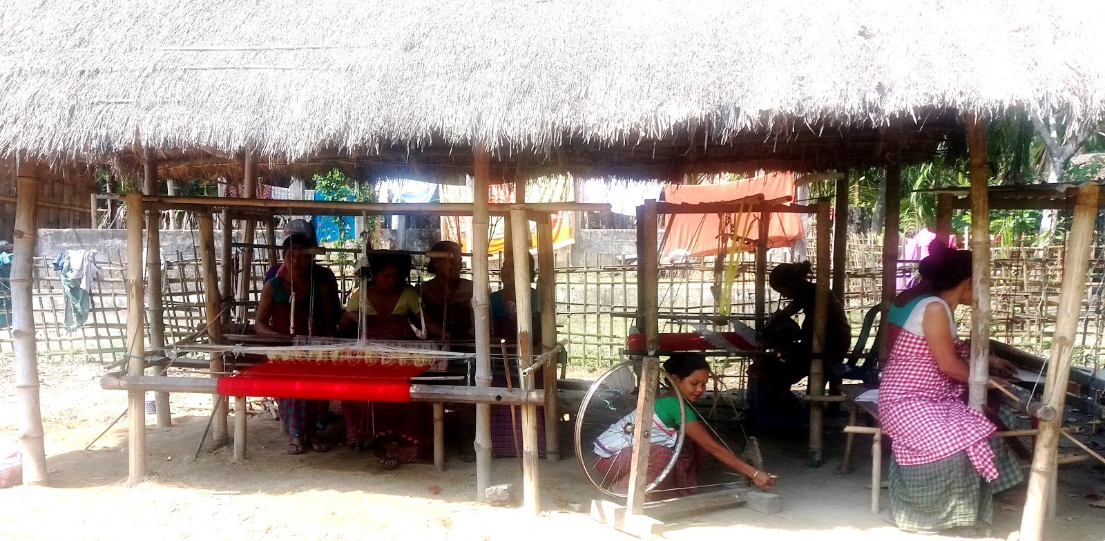 Fresh Cream and the "Mising" People