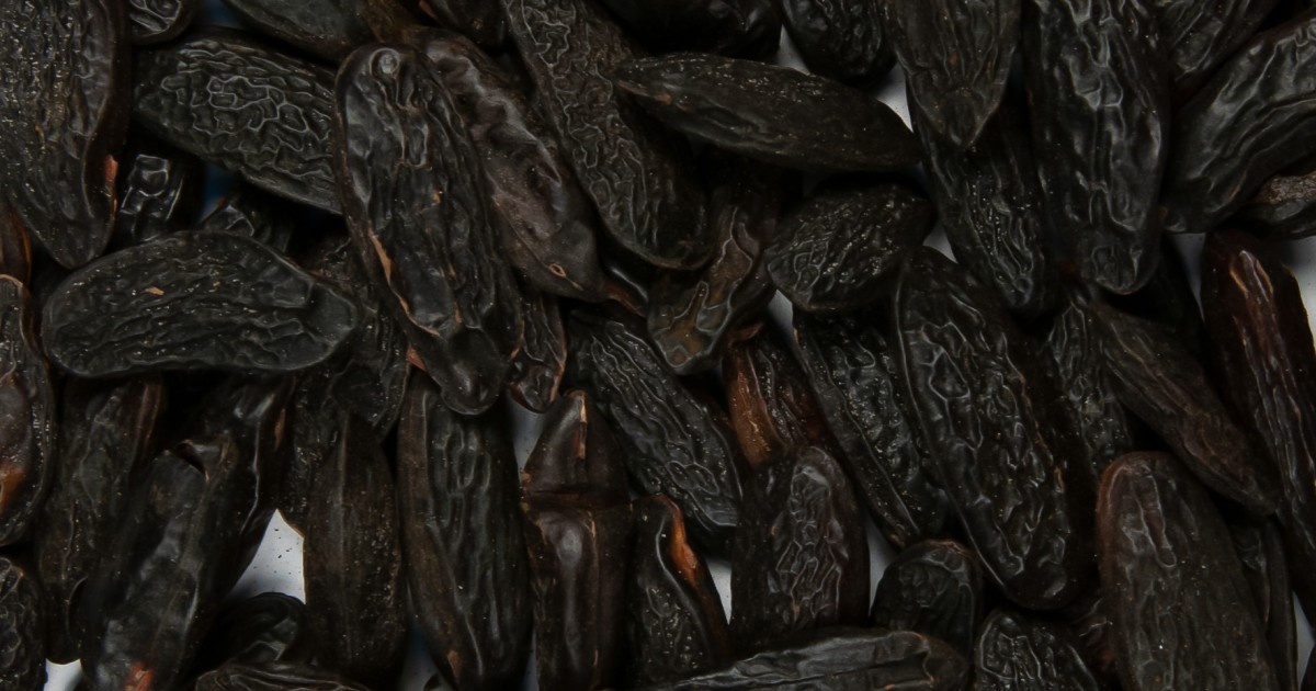 Ouro verde: Especiarias Brasileiras e Frutas Brasileiras