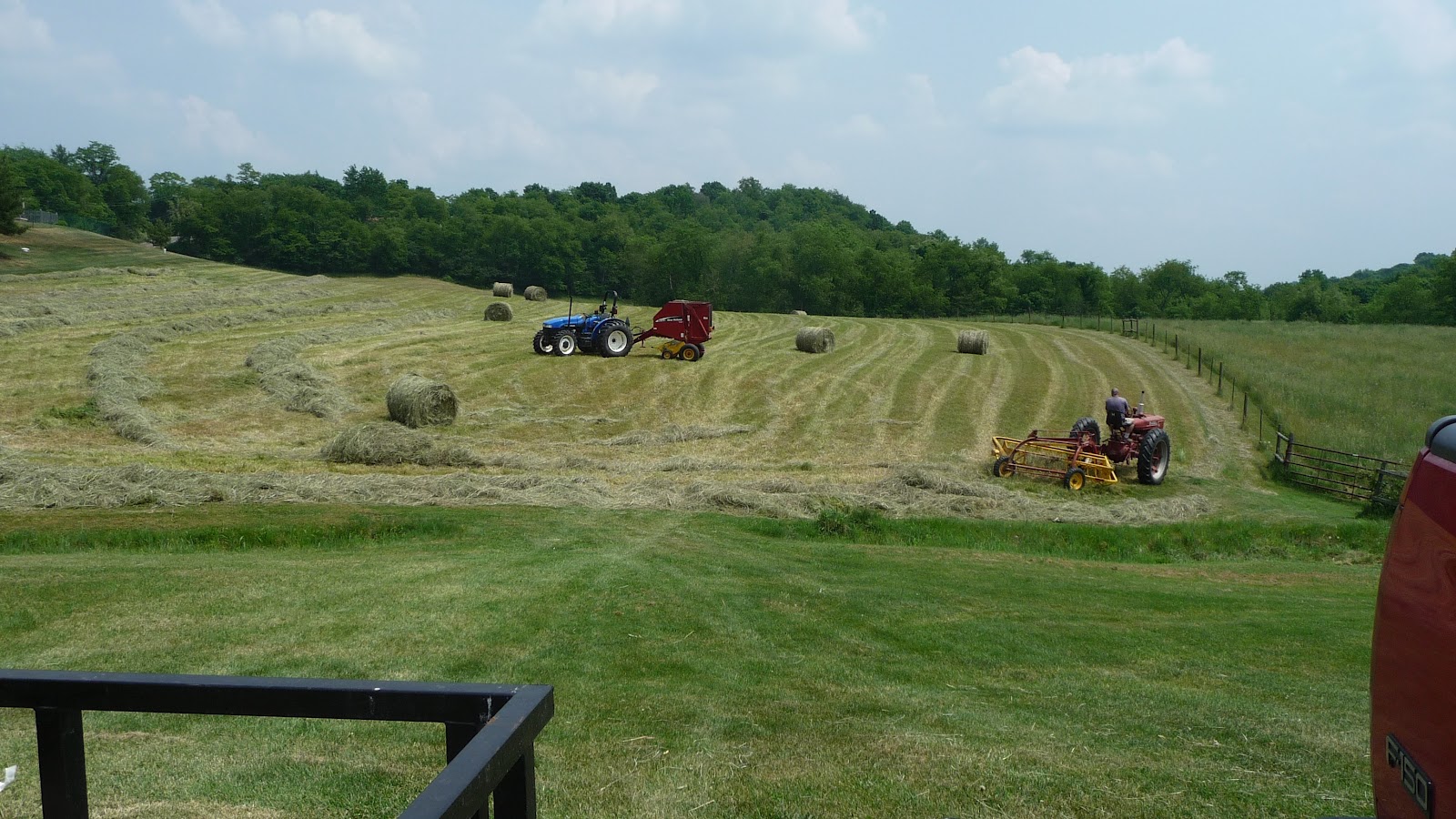 Wild Rose Farm: Hay Season Already!