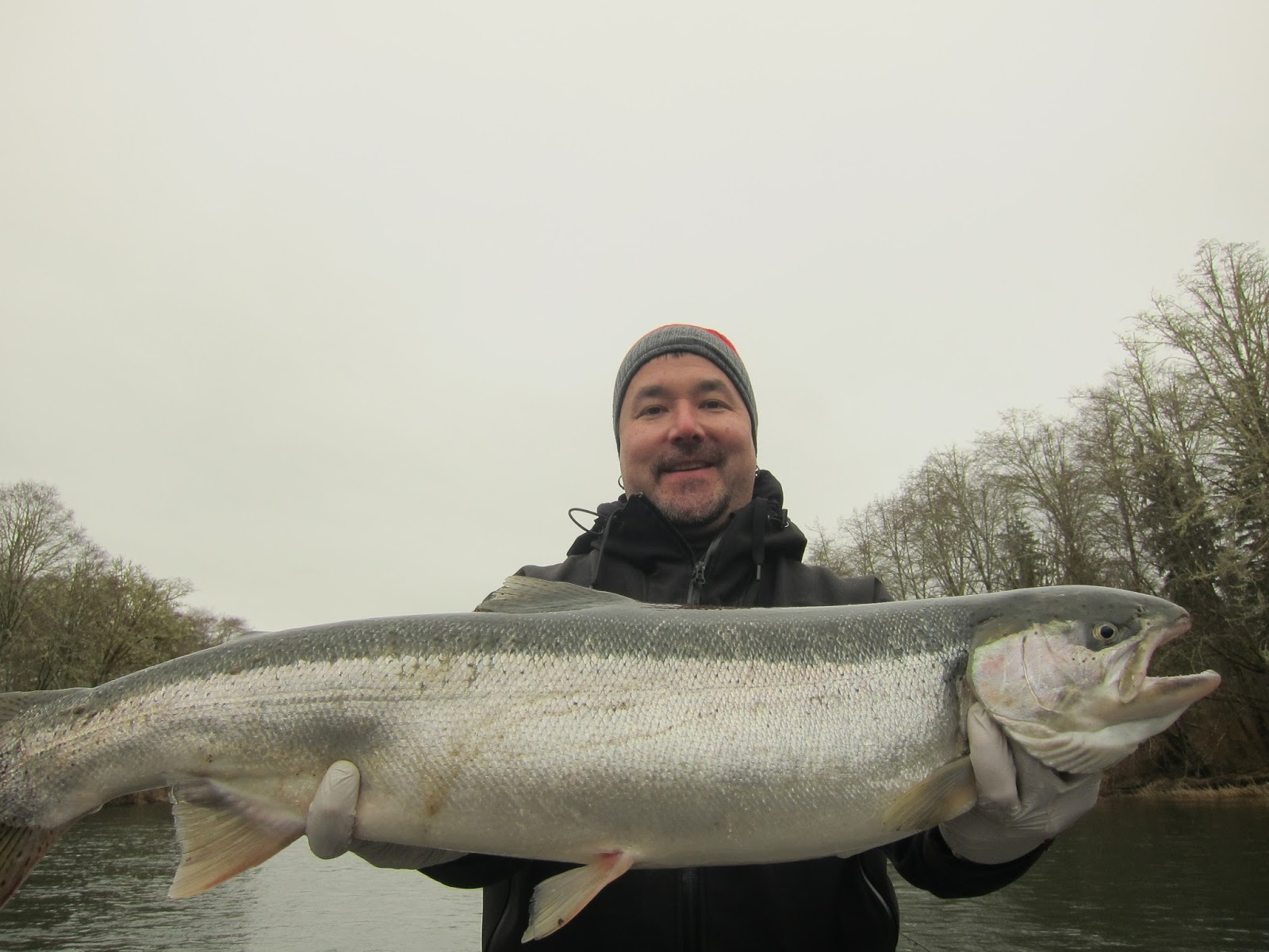 Todds Extreme Fishing: Wynoochee Hatchery & wild steelhead