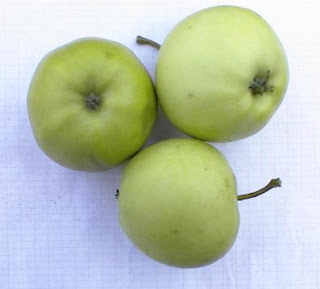 Inheems- en uitheems fruit: Vroege zomerappels zijn nu reeds rijp ...