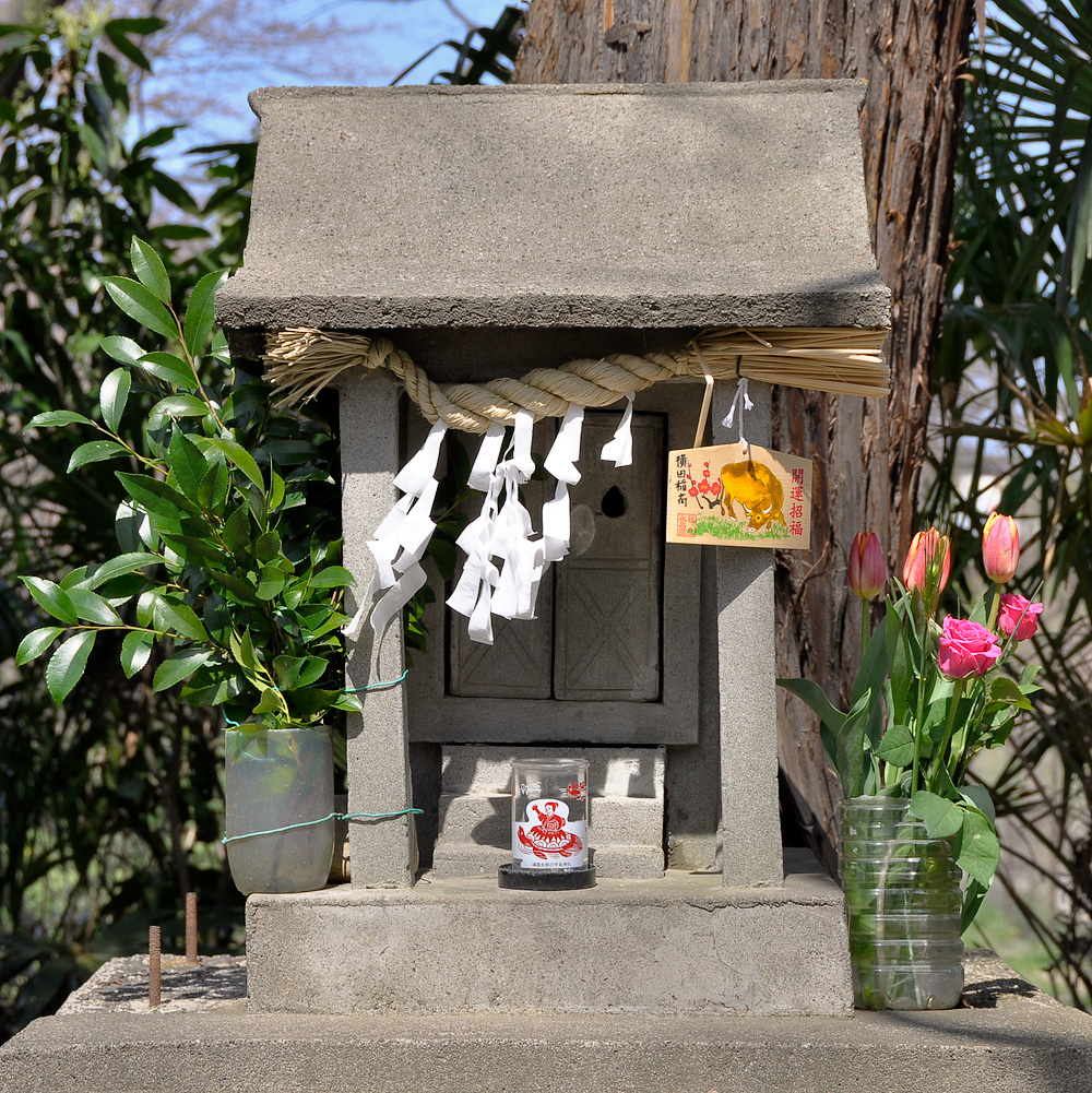 Hokora / Small shrines in Japan / Shinto concept