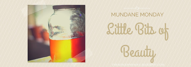 The Song of My Soul: Mundane Monday: Little Bits of Beauty