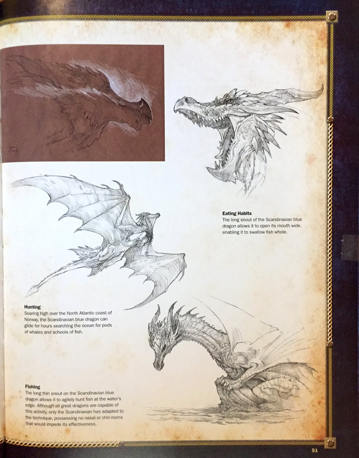 The magic kingdom (of illustration): Dracopedia: the great dragons. An ...