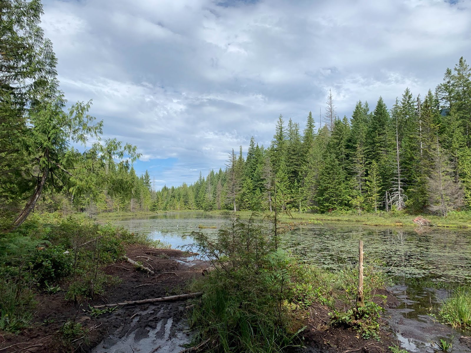 Sayward Forest Canoe Route Vancouver Island Canada - First Church of ...