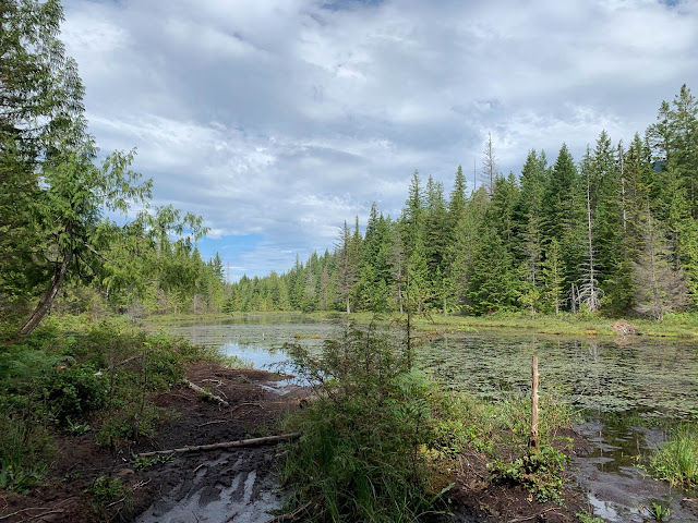 Sayward Forest Canoe Route Vancouver Island Canada - First Church of ...