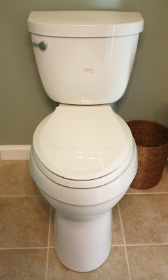 The Red Chair Blog: Remodeling? Buy This Toilet!