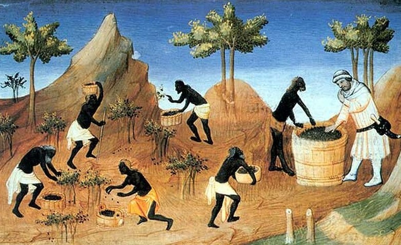 Il pepe tra storia, curiosità ed arte.