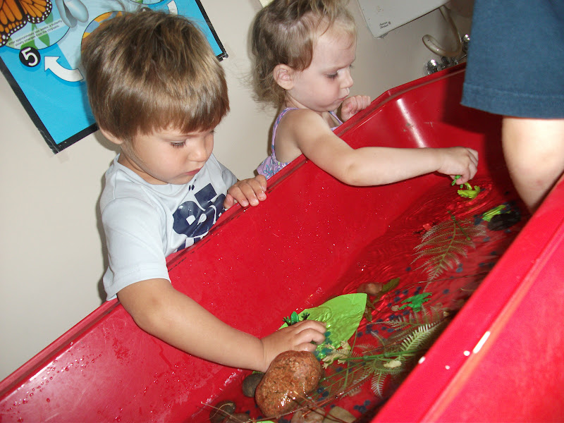 Little Foxes Childcare/Preschool: Ribbit Ribbit.. we hopped into FROG Week