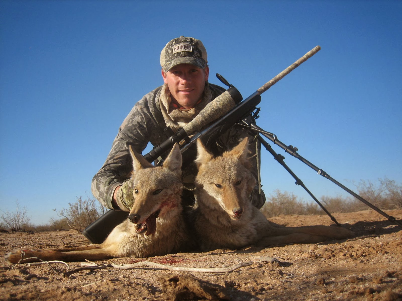 Predator Standoff Outdoors: Techniques For Shooting Predators