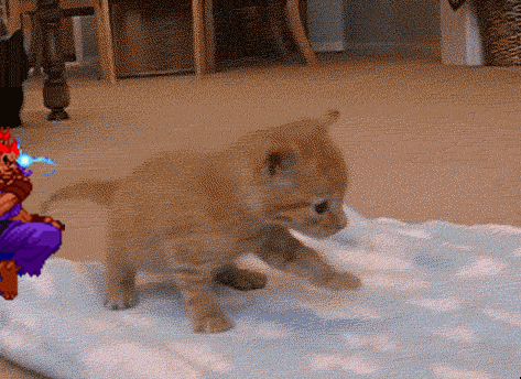 Ideias Embalsamadas: Os 10 especiais mais marcantes dos jogos de luta