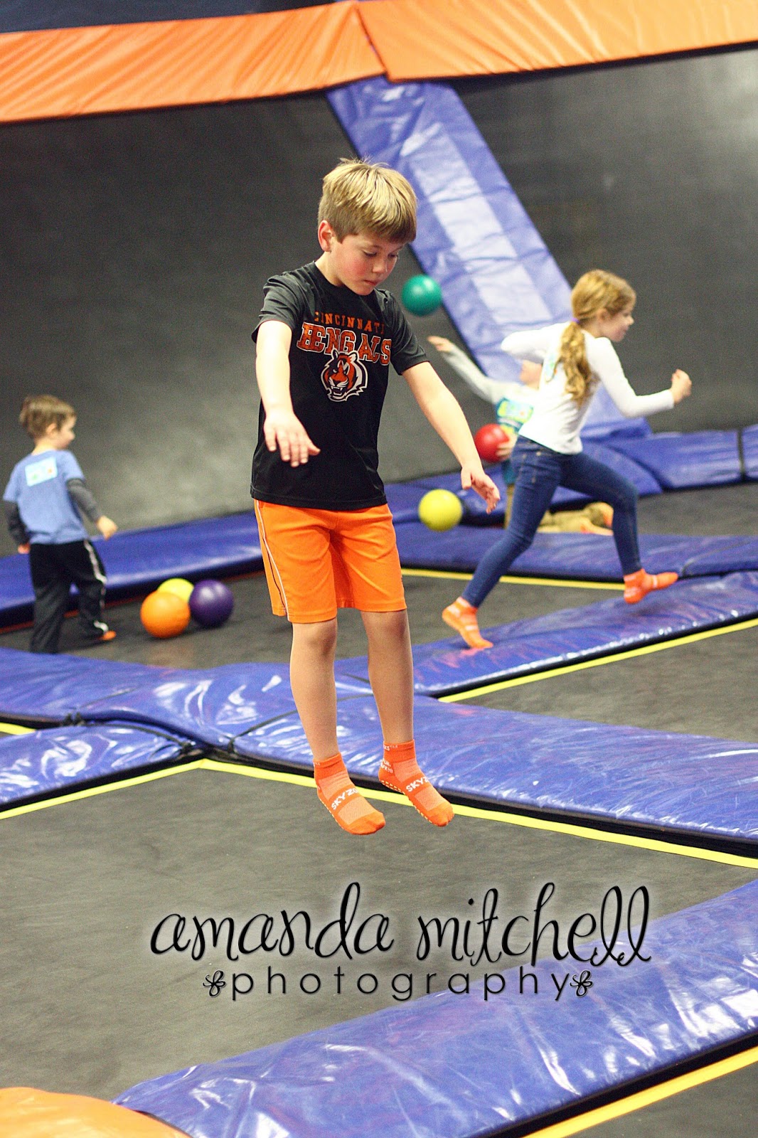 Amanda Mitchell Photography