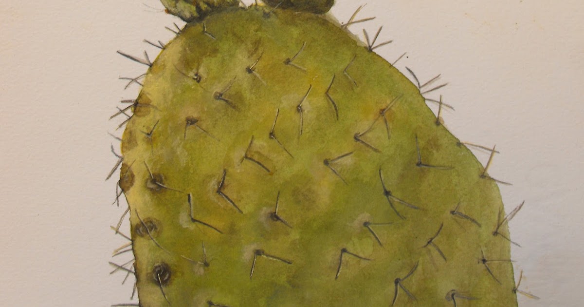 Nopal Cardón - Dulce Karina Morales Vega