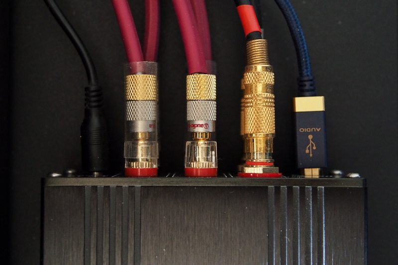 Blues Walk: Topping TP30 Tripath TA2024